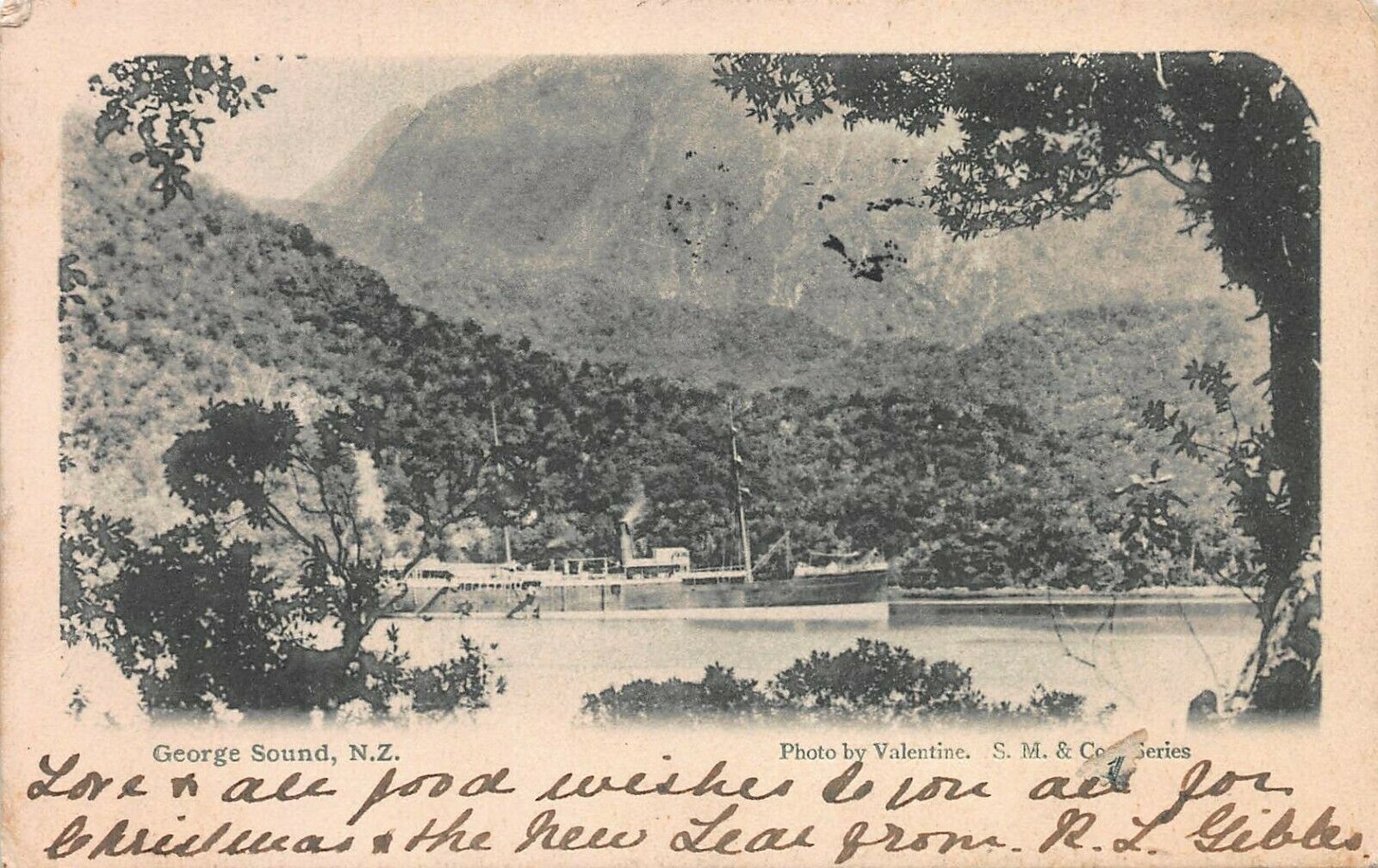 George Sound, New Zealand, Early Postcard, Used in 1905, Sent to N.Y ...