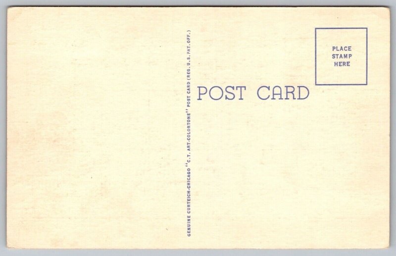 New River Canyon West Virginia Surge Basin C&ORR Birds Eye View Linen ...