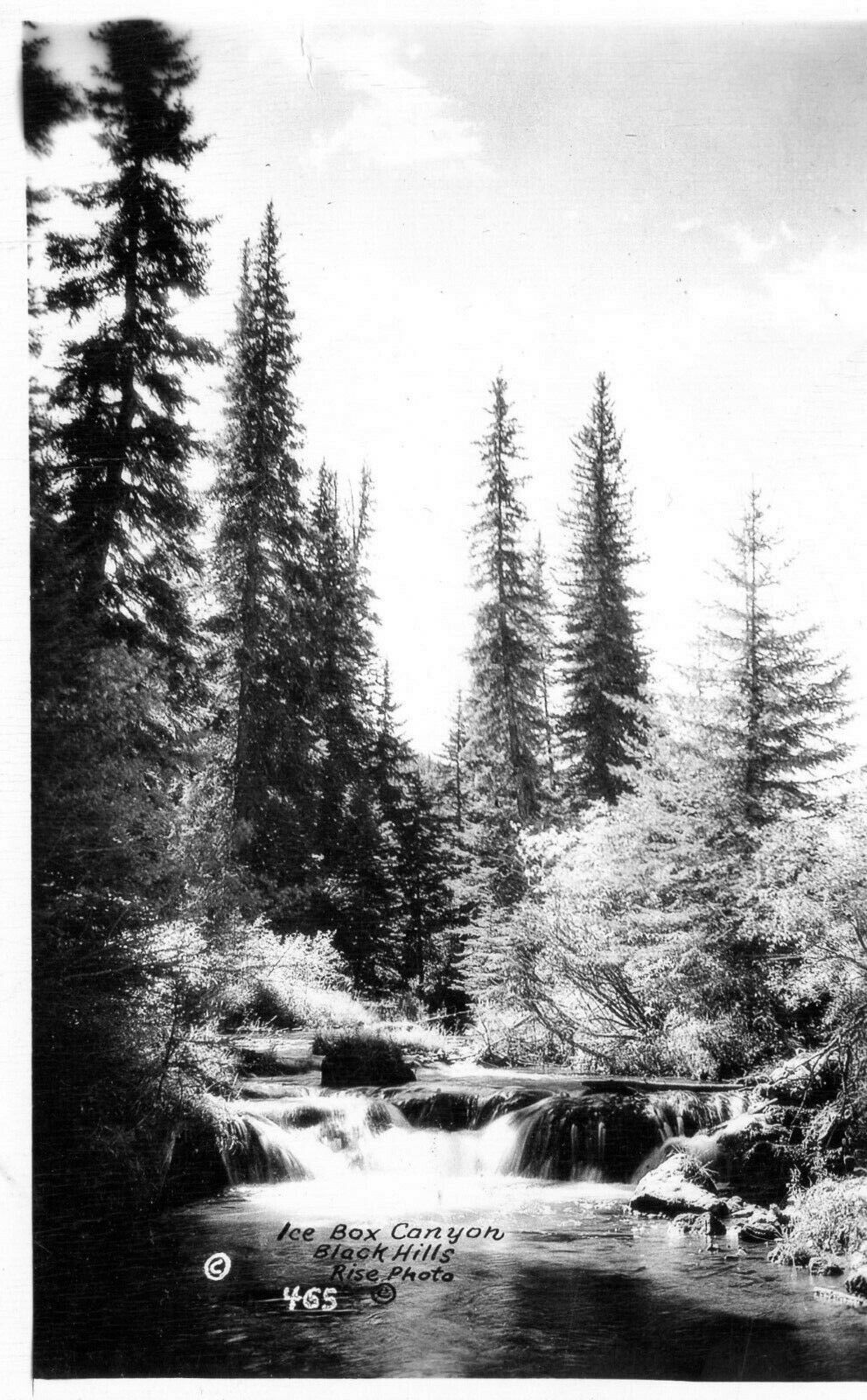 Ice Box Canyon Black Hills SD South Dakota Waterfall RPPC Real Photo ...