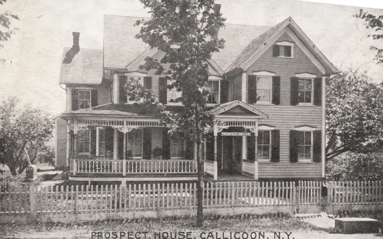 Vintage Postcard View Of Prospect House & Trees Landmark Callicoon New ...