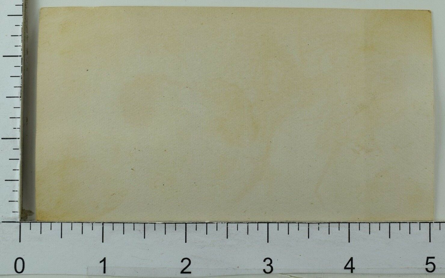 1870's-80's Fabulous Fairy Nest Fantasy Gilt Vivid Victorian Trade Card ...