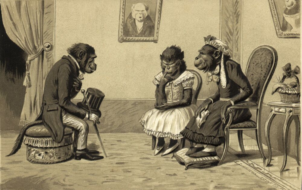 Embossed Dressed Monkey Ape, Paying a Visit (1899) | Topics - Animals ...