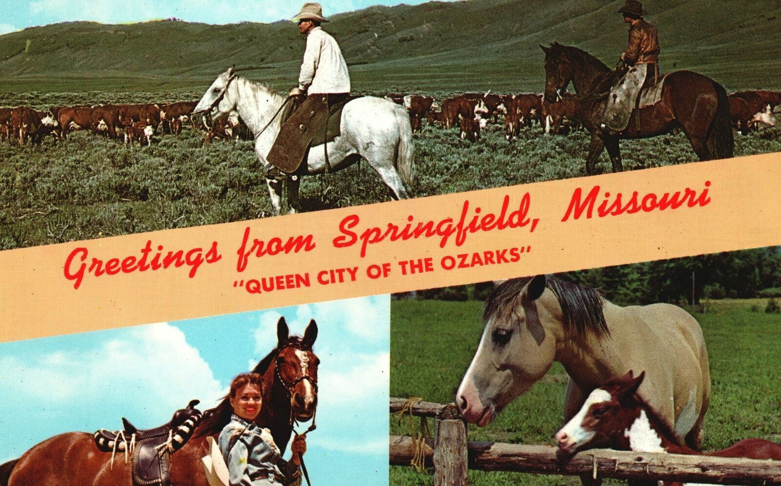 Vintage Postcard Greetings From Springfield Missouri Queen City of The ...