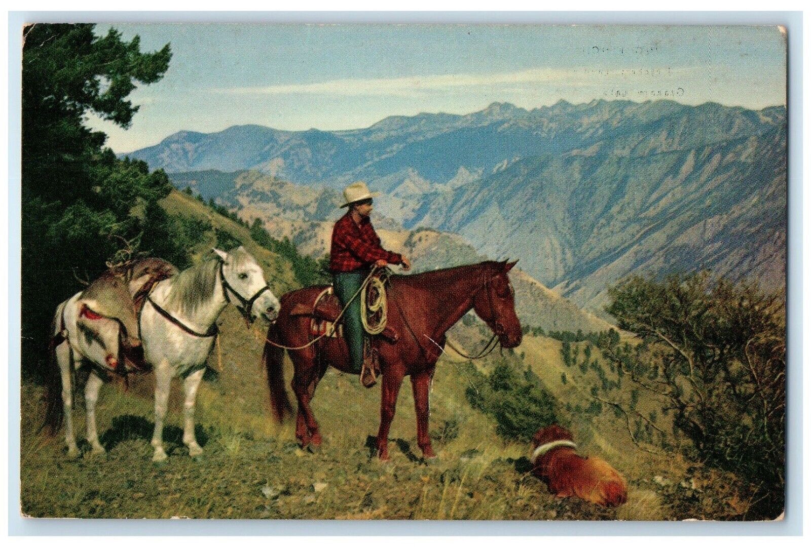 1955 Ing Lynch Fletchers Landing Graham Lake Maine ME, Horse Cowboy ...