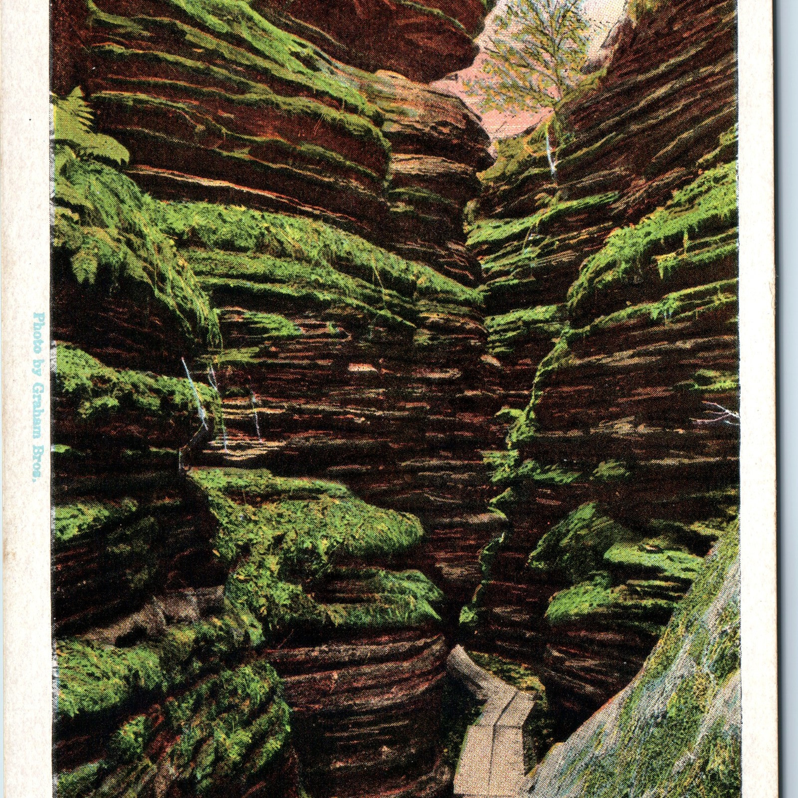 c1920s Wisconsin Dells WI Cold Water Canyon Leaning Rock Plank Path ...