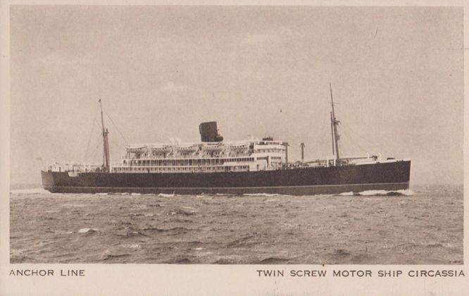 MV Caledonia Vintage Twin Screw Motor Ship Old Postcard | Topics ...