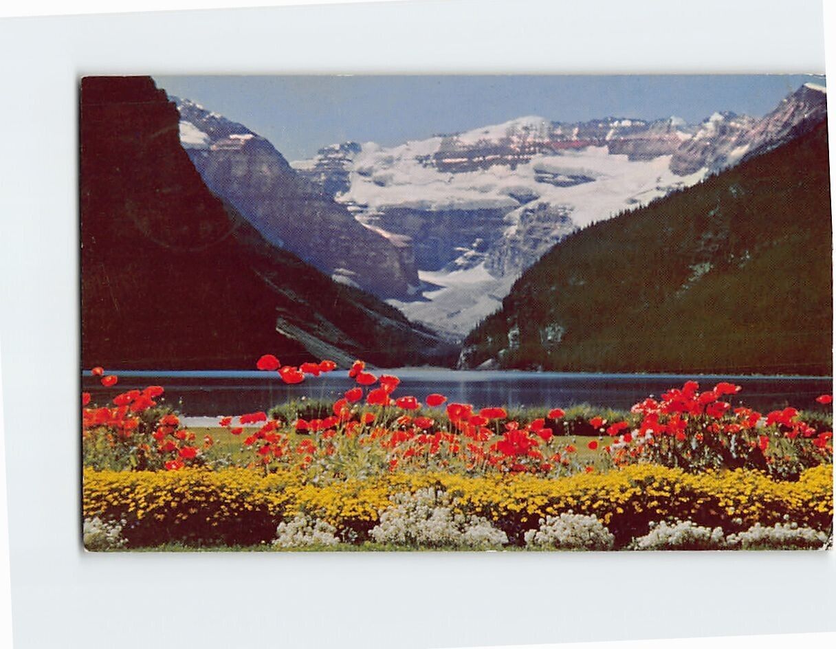 Postcard Lake Louise and Victoria Glacier, Banff National Park, Canada ...