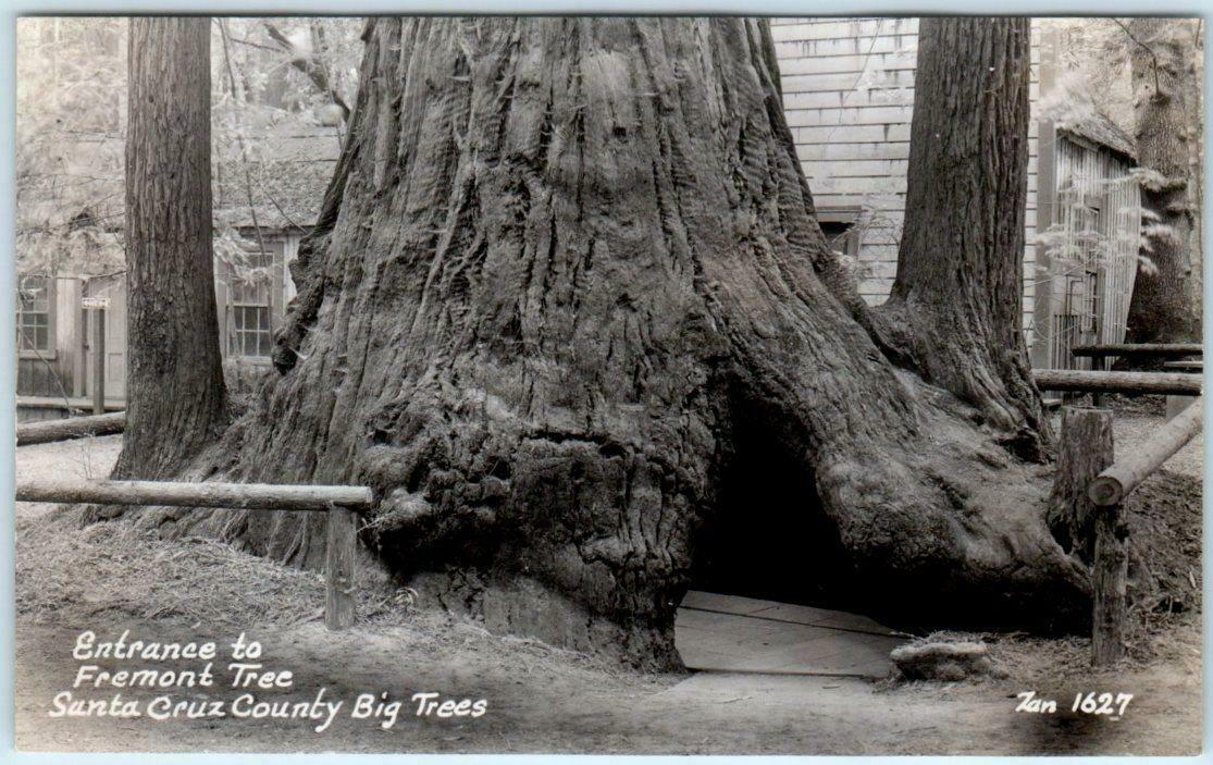 RPPC SANTA CRUZ COUNTY BIG TREES, California CA Entrance FREMONT TREE ...