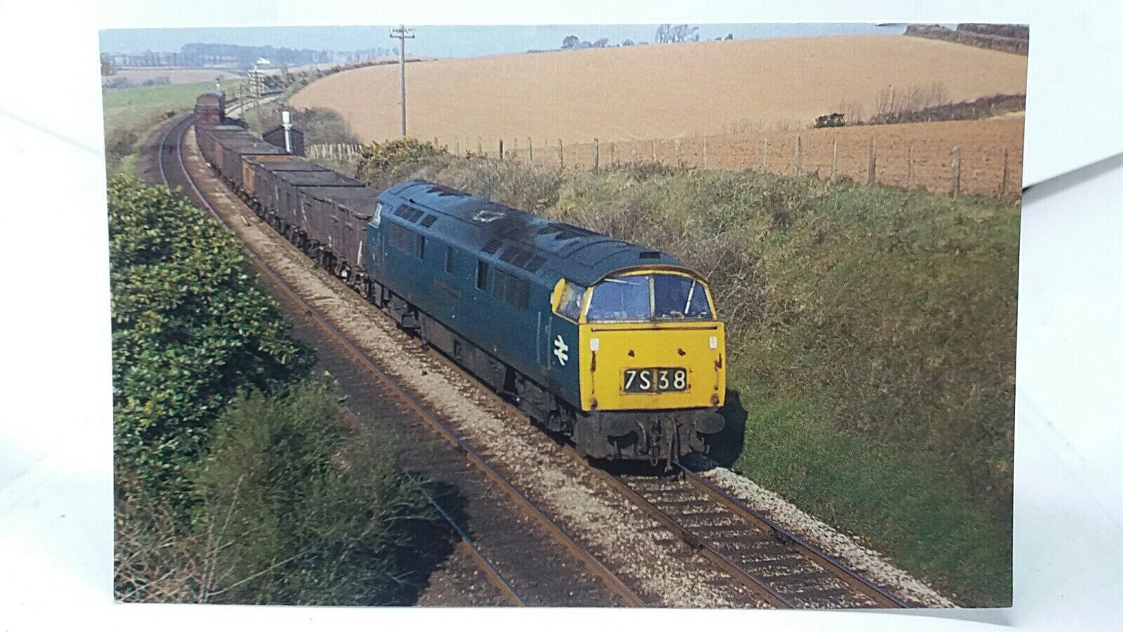 Locomotive D1005 Western Venturer at Trerulefoot Vintage Railway ...