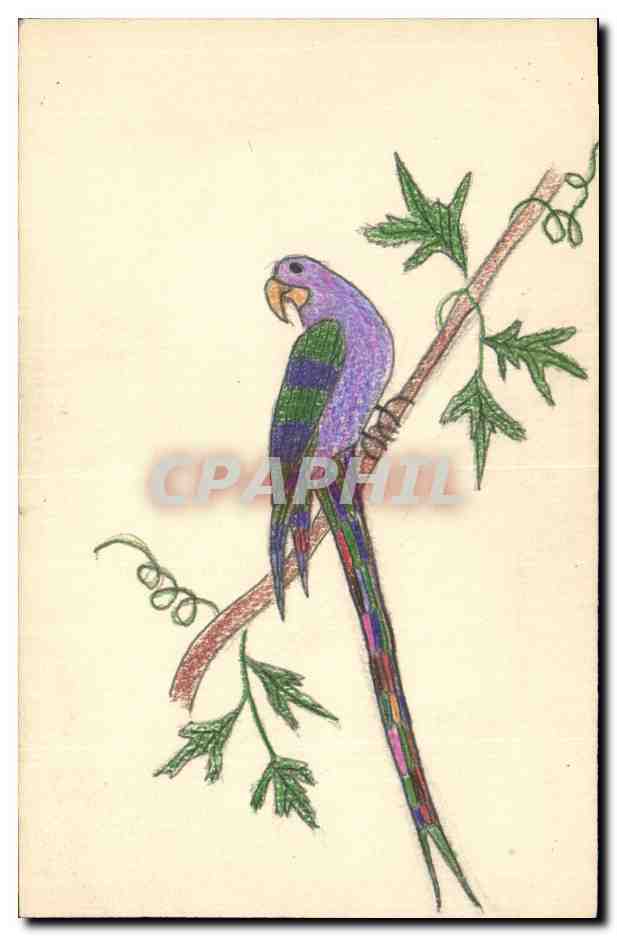 Old Postcard Fancy (drawing hand) Bird Parrot Parrot | Topics - Fancy ...