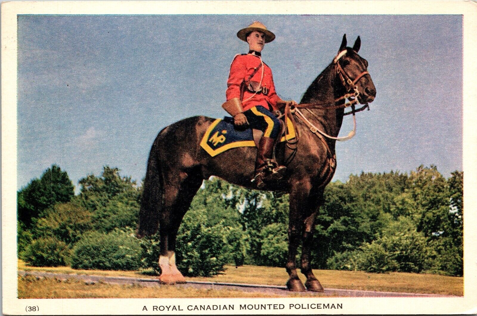 Royal Canadian Mounted Policeman Horse Cop Uniform Canada Scenic WB ...