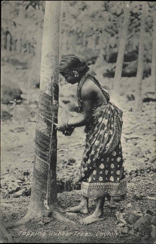 Ceylon Sri Lanka Woman Tapping Rubber Tree c1900-20s Vintage Postcard ...