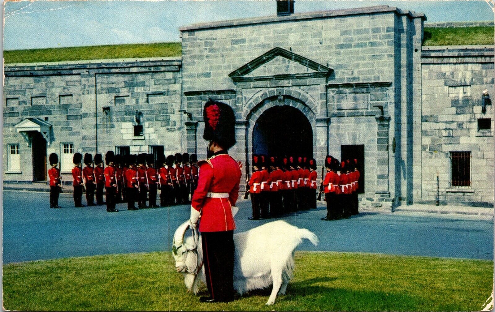 Royal 22E Regiment La Citadelle Royal Mascot Military Quebec Canada ...