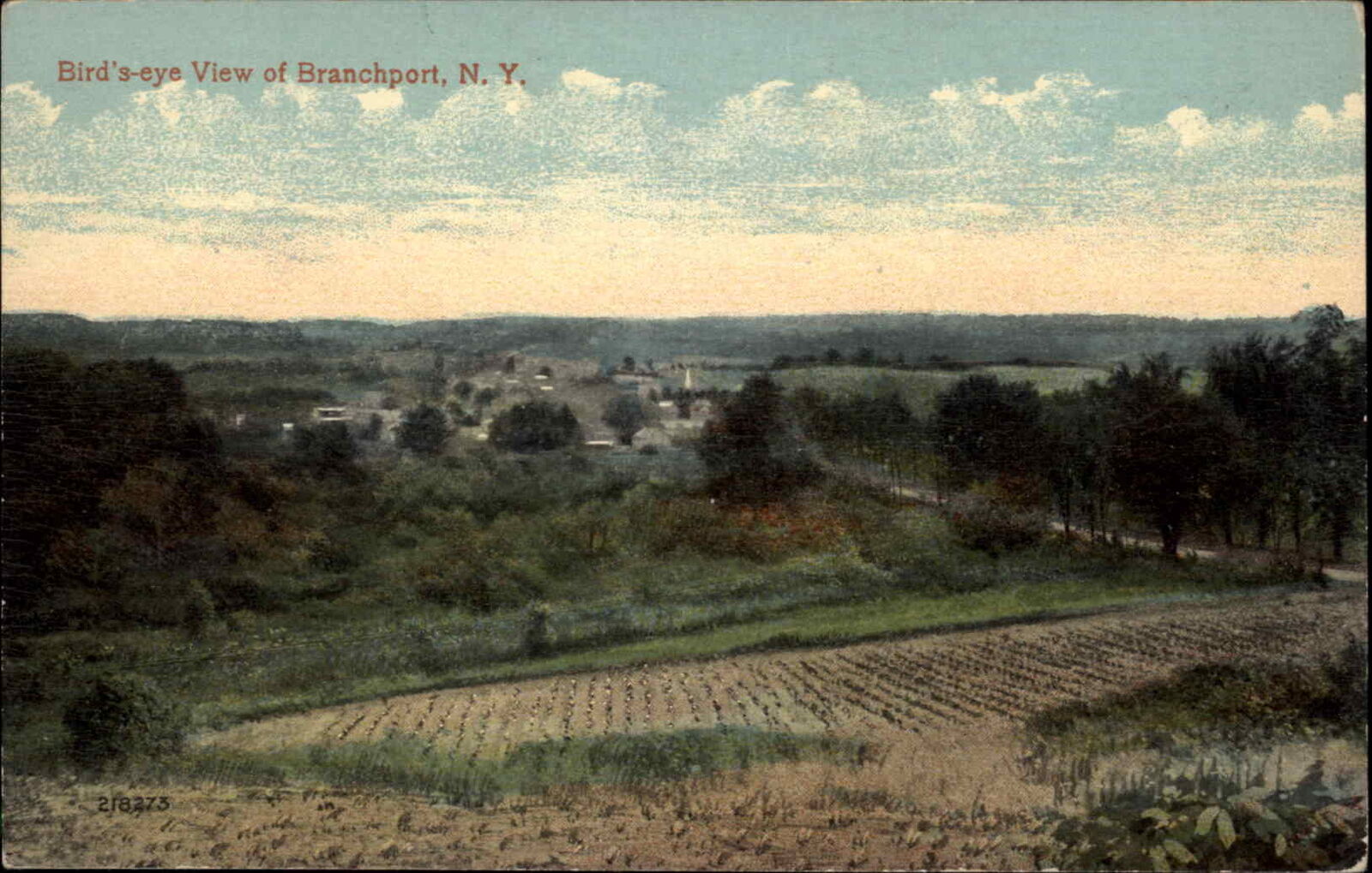 Branchport New York NY Bird's Eye View c1900s-20s Postcard | United ...