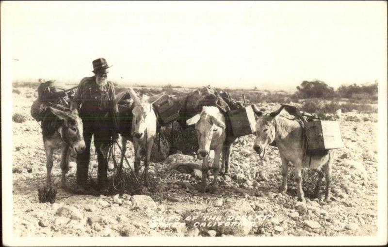 Baker CA Desert Gold Prospector? Mules Frasher's Real Photo Postcard ...