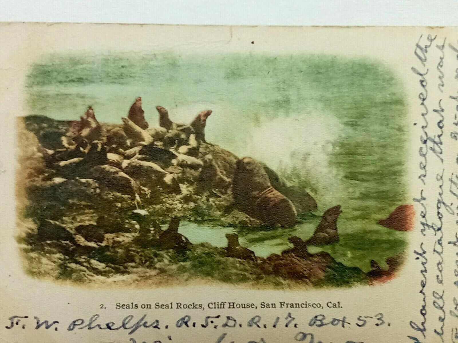 Vintage Postcard 1906 Seals on Seal Rocks Cliff House San Francisco CA ...