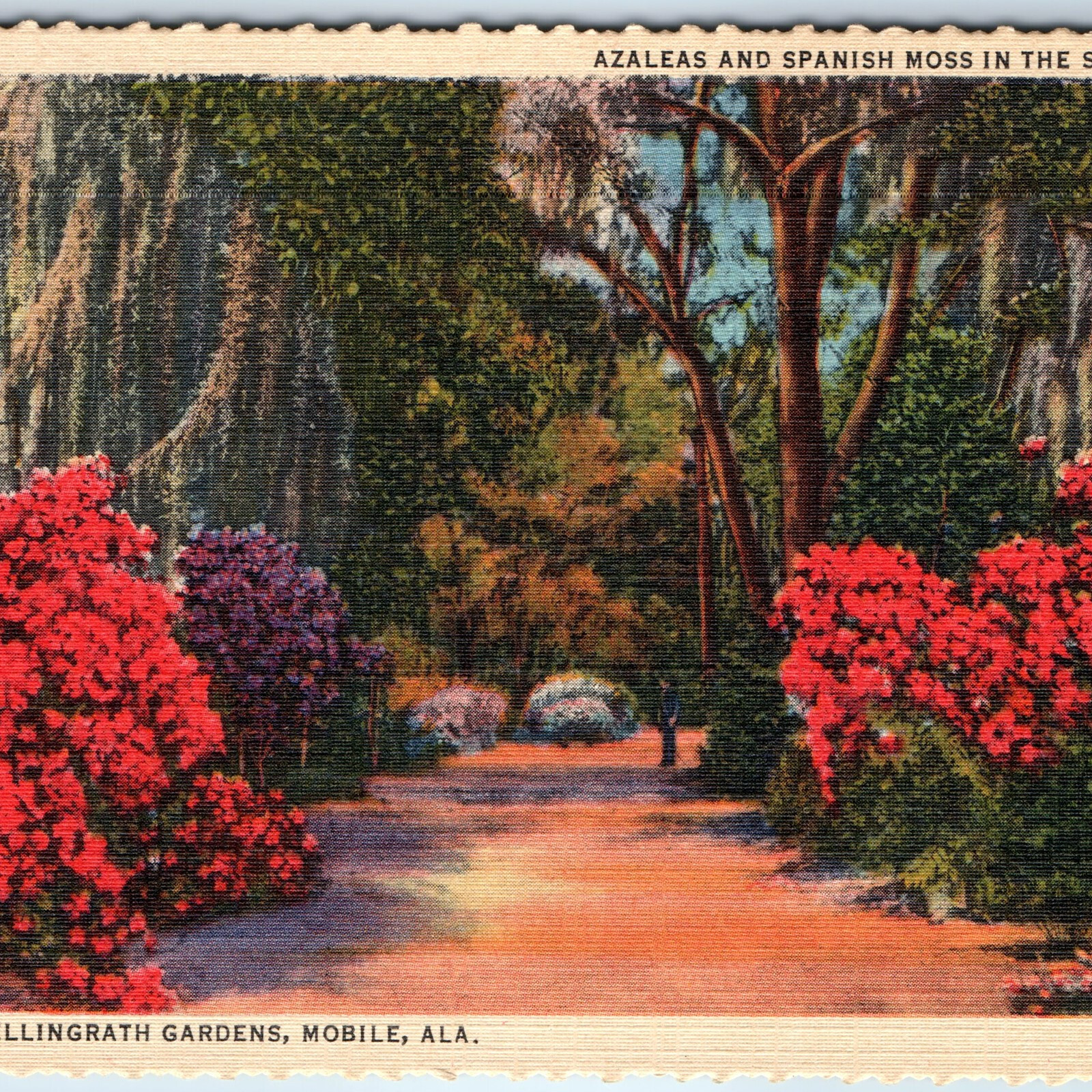 1934 Mobile AL Bellingrath Garden Scene Azalea Shrub Flower Spanish ...