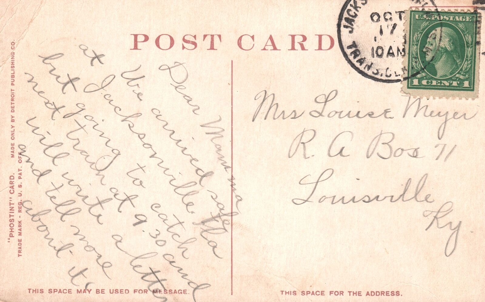 Vintage Postcard 1920's A Coconut Tree Bearing Fruits Detroit ...