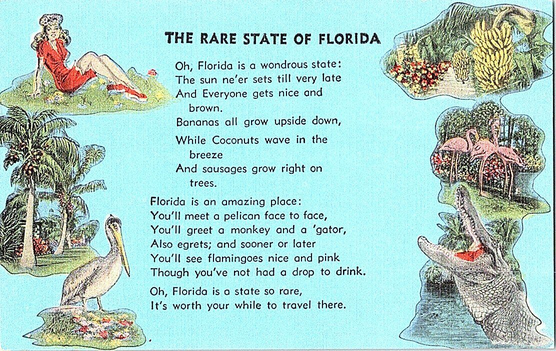 The Rare State Of Florida Poem Vintage Postcard Standard View Card ...