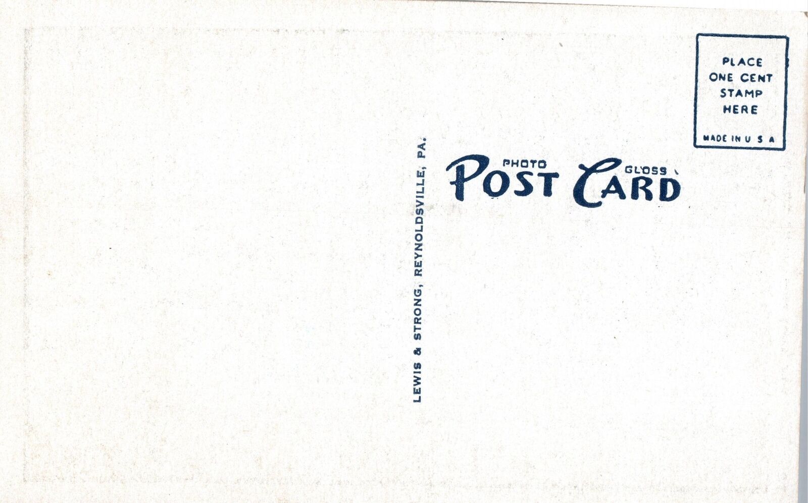 Vintage Postcard Virgin White Pine at Cook Forest Park | Other ...