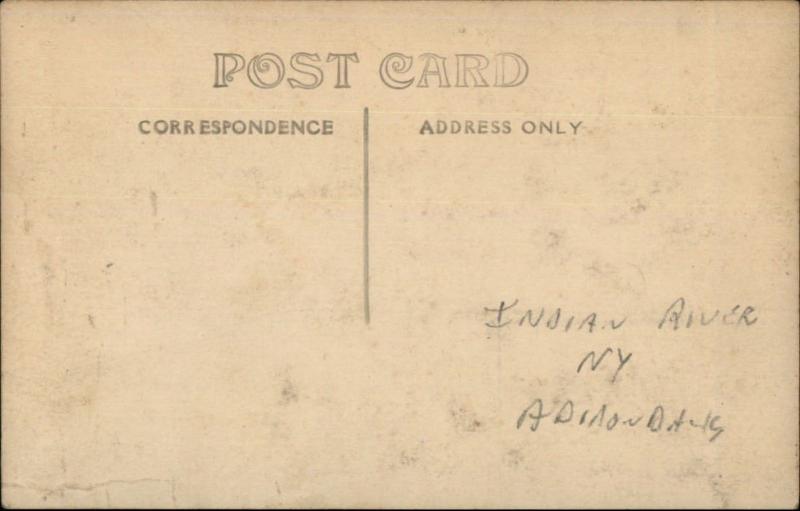 Adirondacks? Indian River Grange Parade Float Cows c1910 Real Photo ...