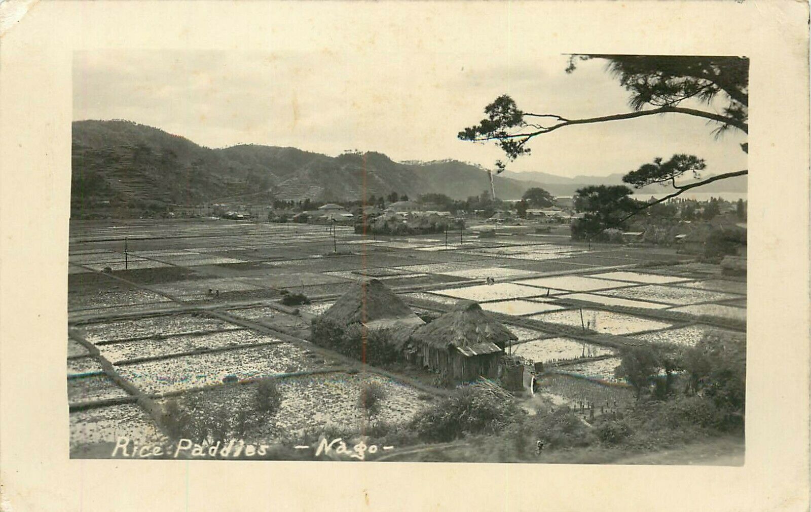 RPPC Nago Rice Paddies Fields Okinawa Postcard Unstamped Unused | Other ...