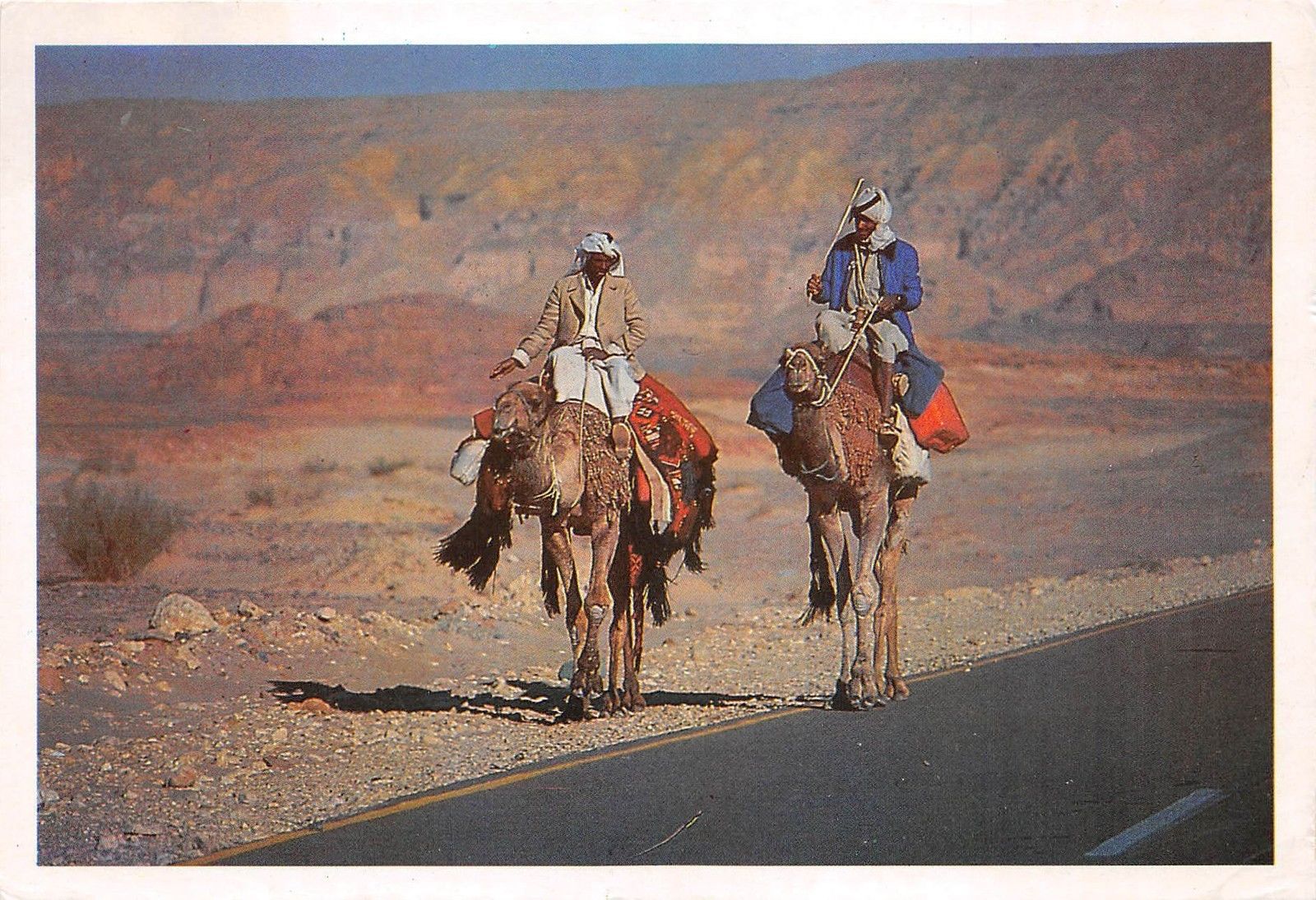 BG9441 the legend of bedouin and camel egypt types folklore | Africa ...