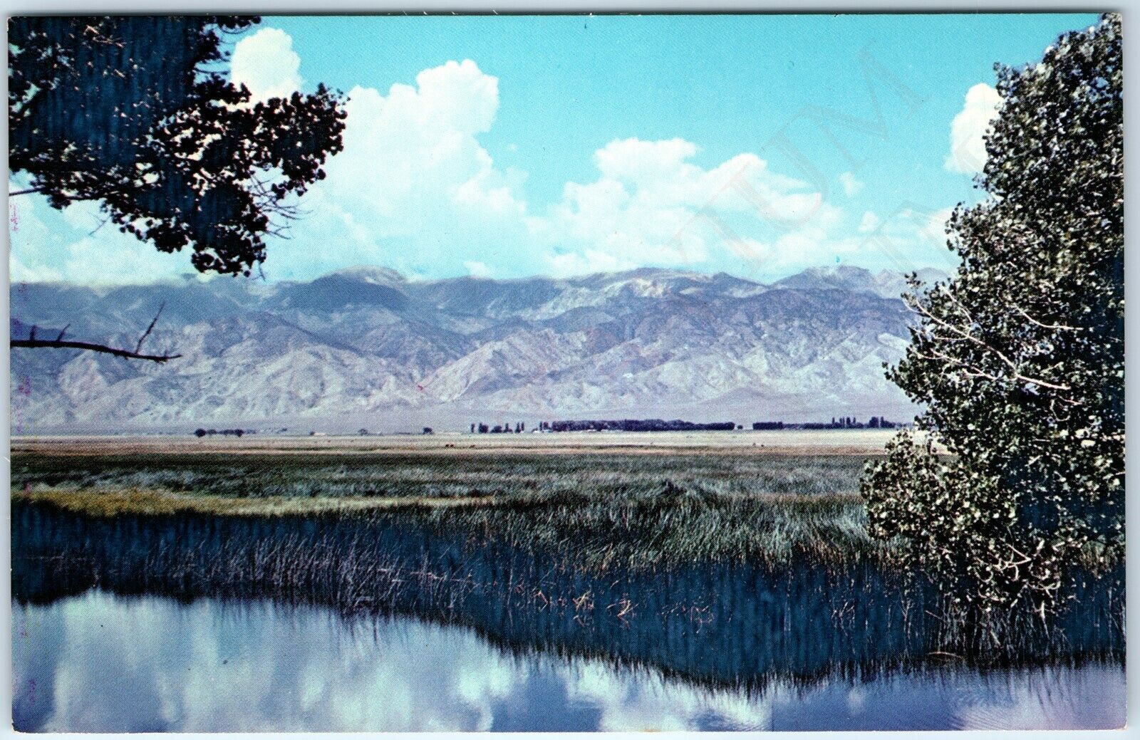 c1950s Dyer, NV Fish Lake Valley Desert Lake White Mountains Nature ...