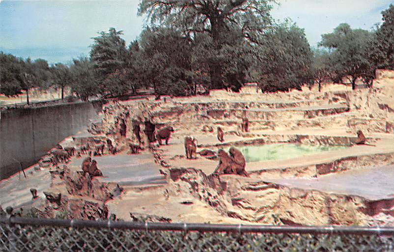 Monkey Island Brackenridge Park - San Antonio, Texas TX | Topics ...