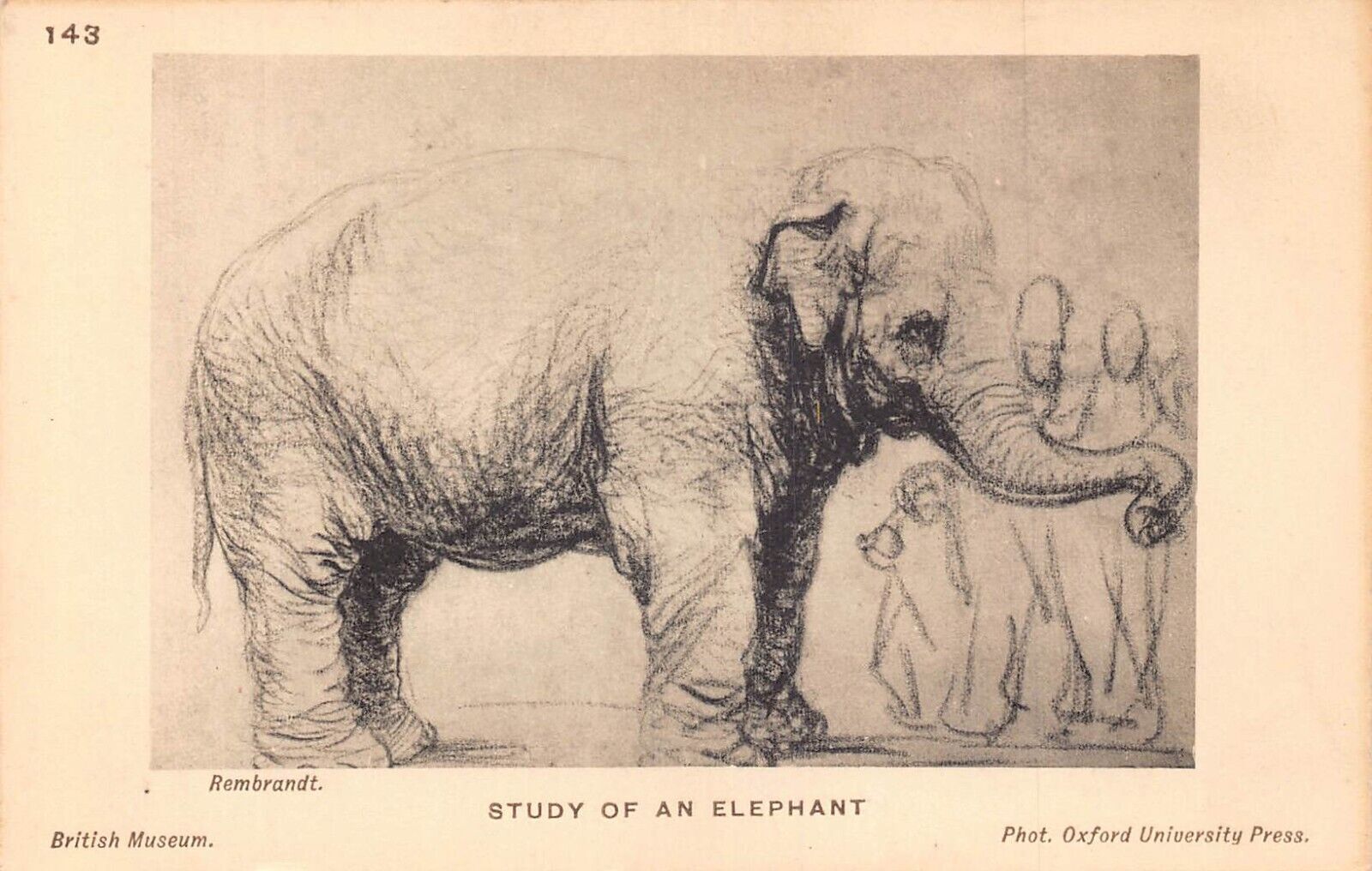 Art Study of an Elephant by Rembrandt in British Museum London vintage ...