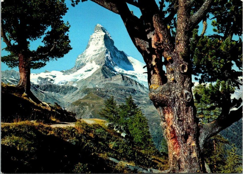 Vintage Continental Size Postcard Mount Zermatt Swiss Loaded Postage ...