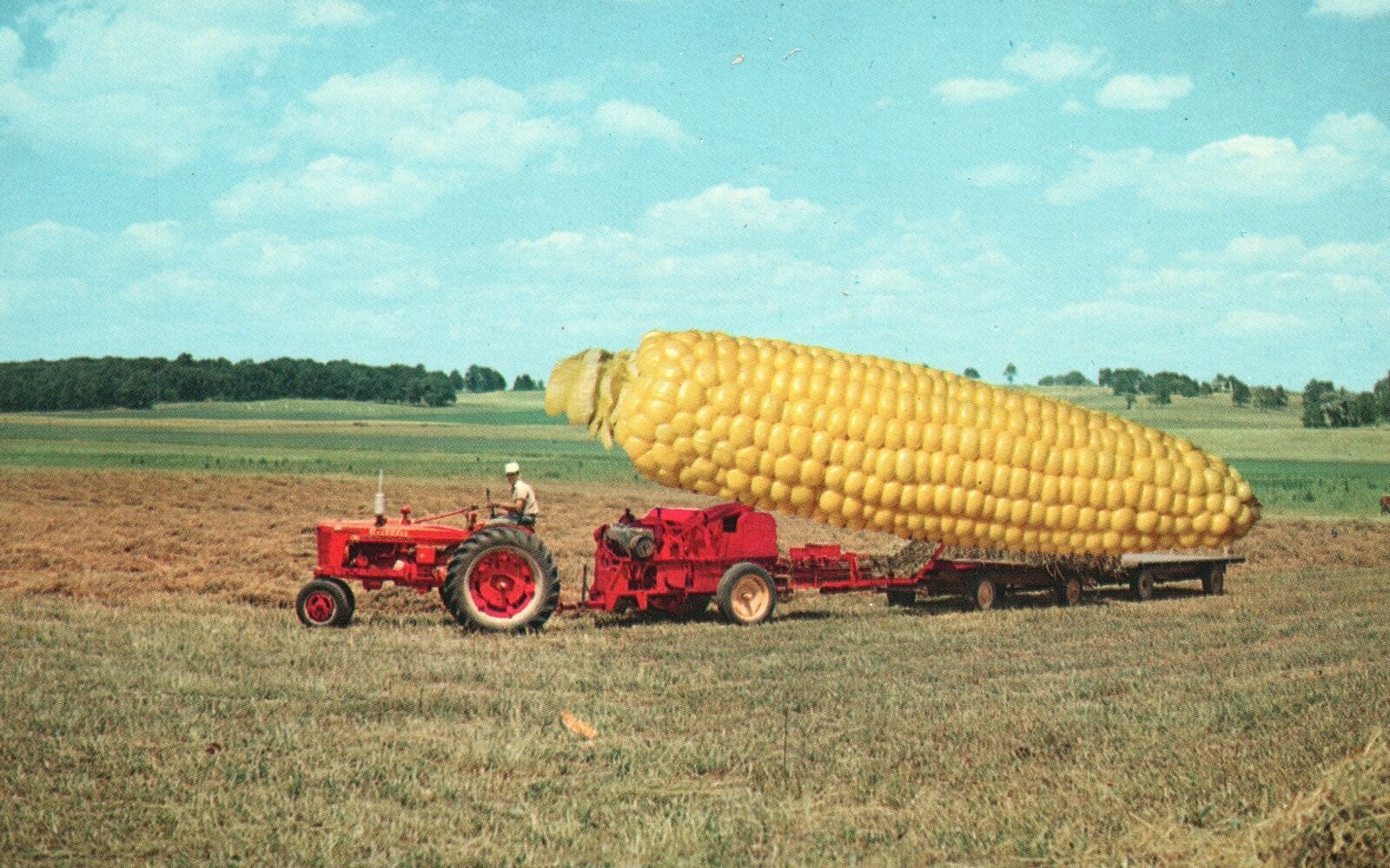 Vintage Postcard Big and Corny Corn Farming Corn Farm Plowing the Field ...