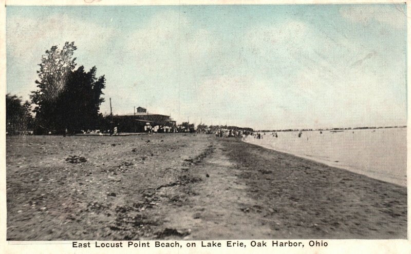 Vintage Postcard 1928 East Locust Point Beach Bathing Lake Erie Oak ...