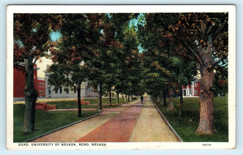 RENO, NV Nevada ~ The QUAD at UNIVERSITY of NEVADA 1934 Postcard ...