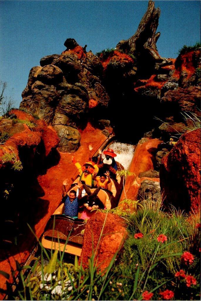 FL, Florida SPLASH MOUNTAIN RIDE~Walt Disney World Amusement Park 4X6 ...