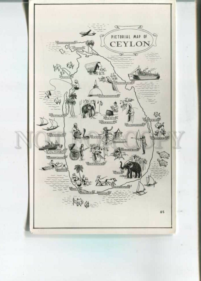 473213 Ceylon pictorial MAP snake turtle elephant Vintage photo ...