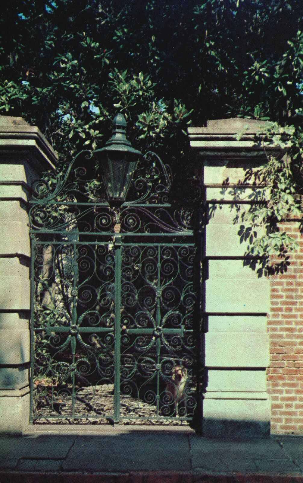 Vintage Postcard Famous Sword Gates Legare Street Charleston South ...