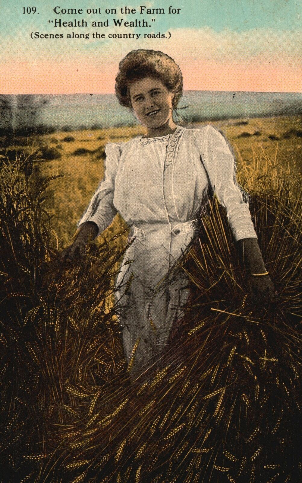 Vintage Postcard 1912 Come Out On The Farm For Health And Wealth ...