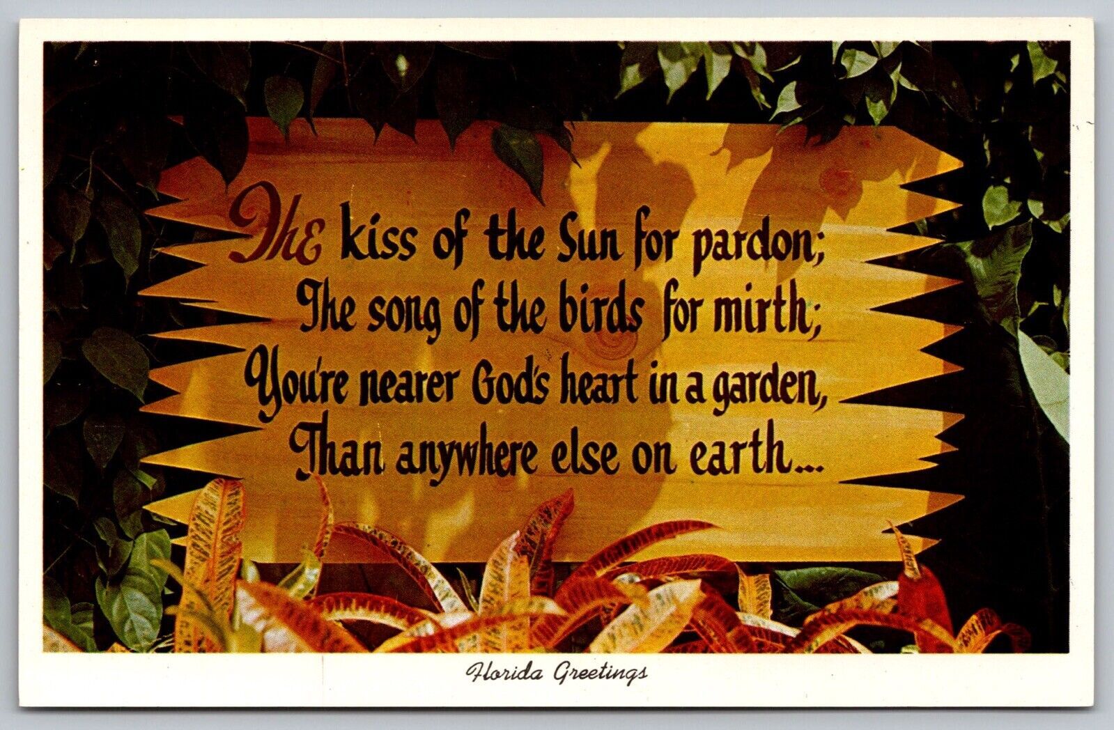Florida Greetings Sunshine State Poem Plaque Curteichcolor Vintage UNP ...