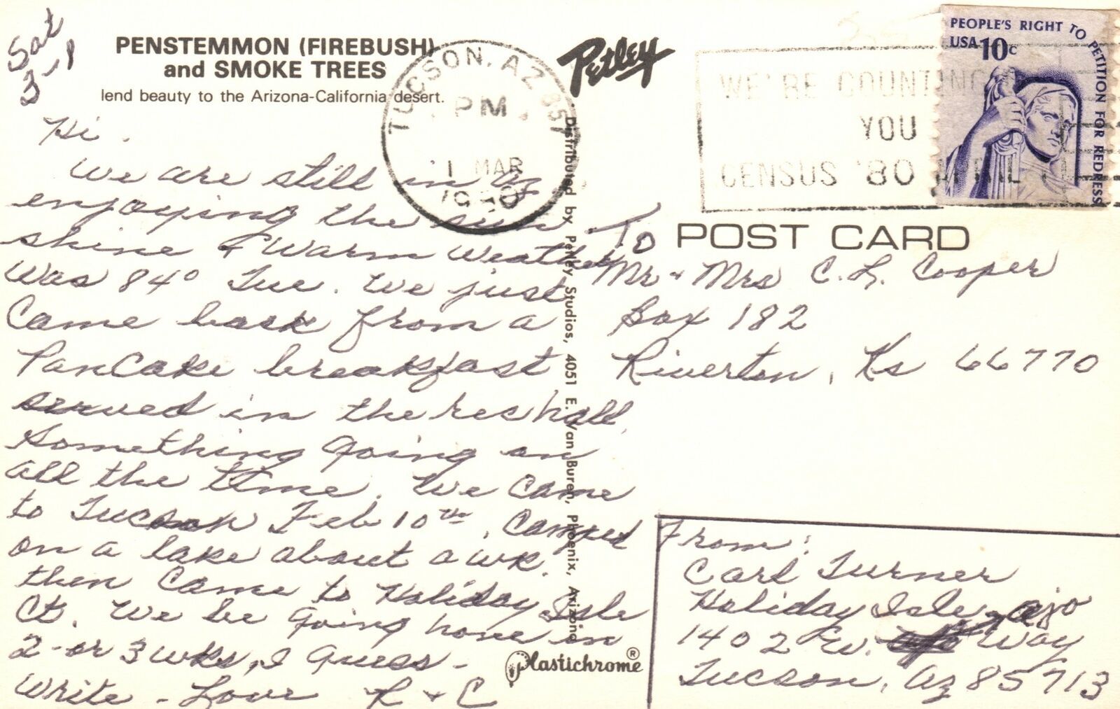 Penstemmon Firebush And Smoke Trees Arizona California Vintage Postcard ...