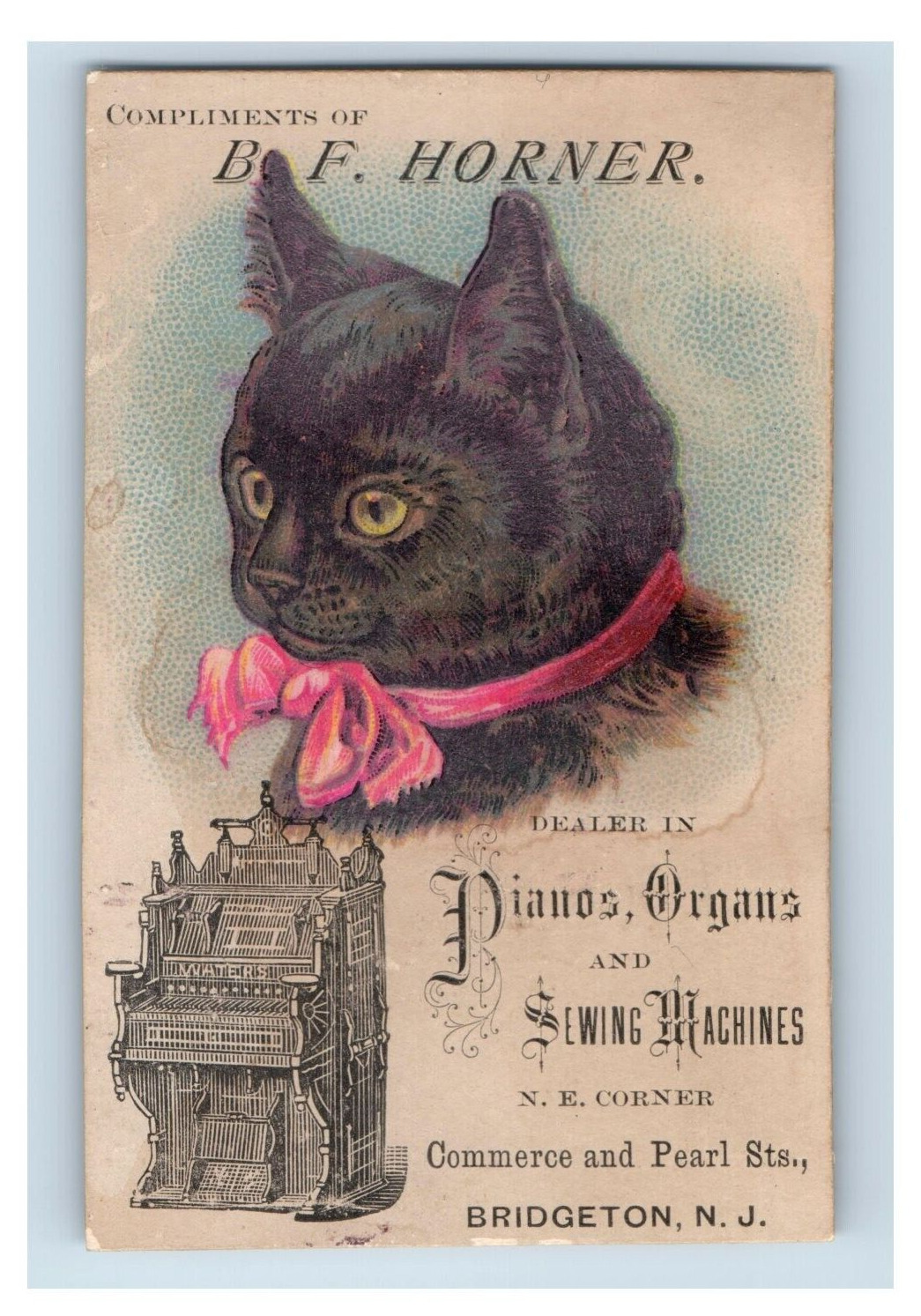 1880s B.F. Horner Pianos Organs Adorable White Cat F148 | Ephemera ...