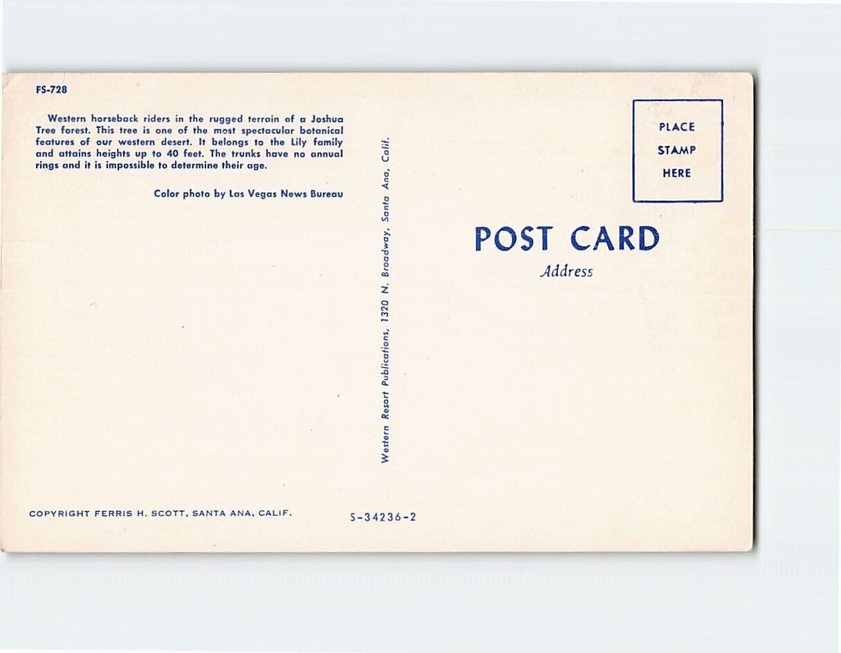 Postcard Western horseback riders in the rugged terrain of a Joshua ...