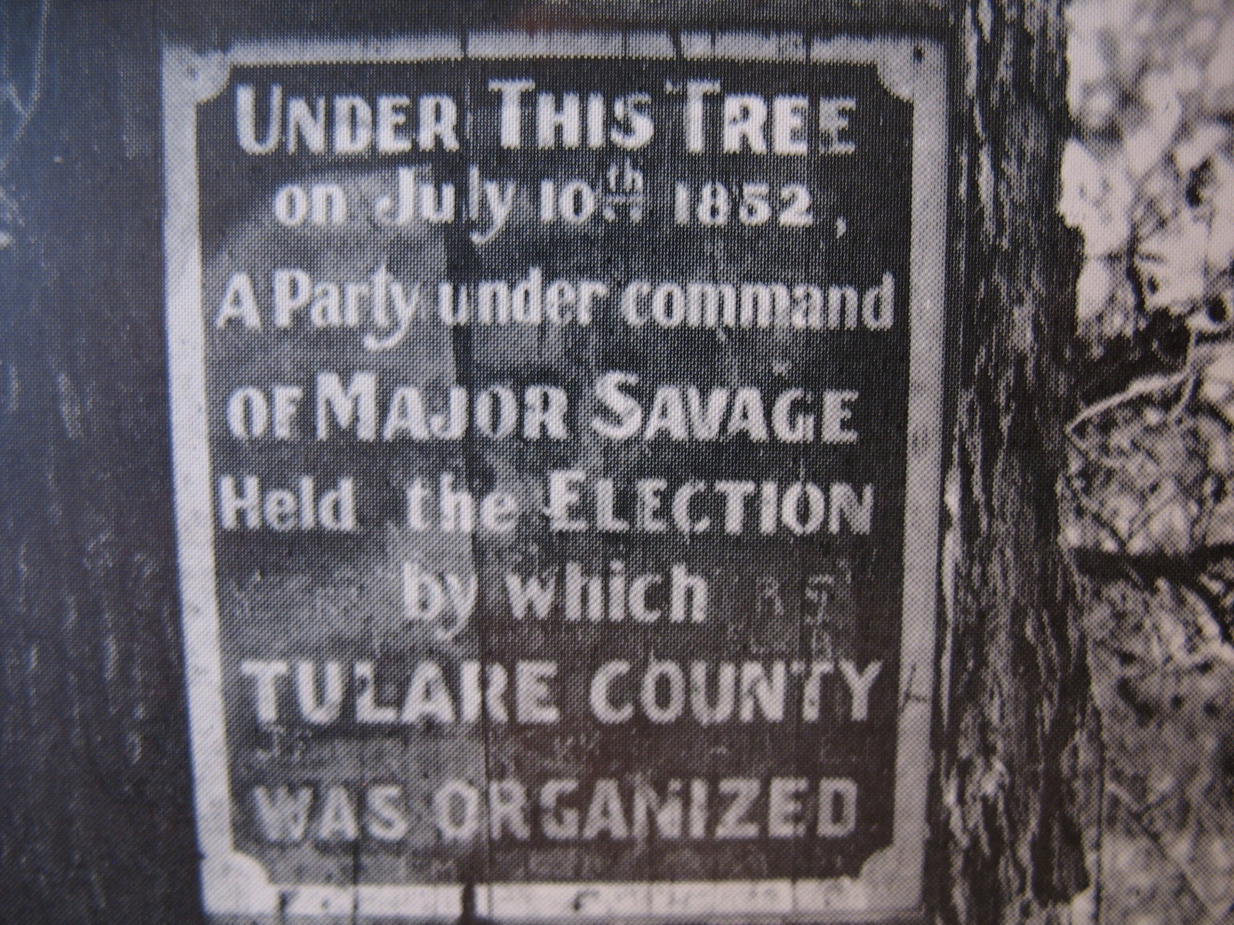 VISALIA, CA (Tulare Co) 1940s CHARTER OAK aka "Election Tree" Charter ...