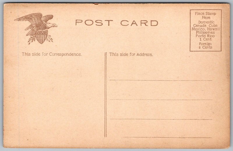 Vtg Denver Colorado CO State Capitol Building 1910s Old View Postcard ...