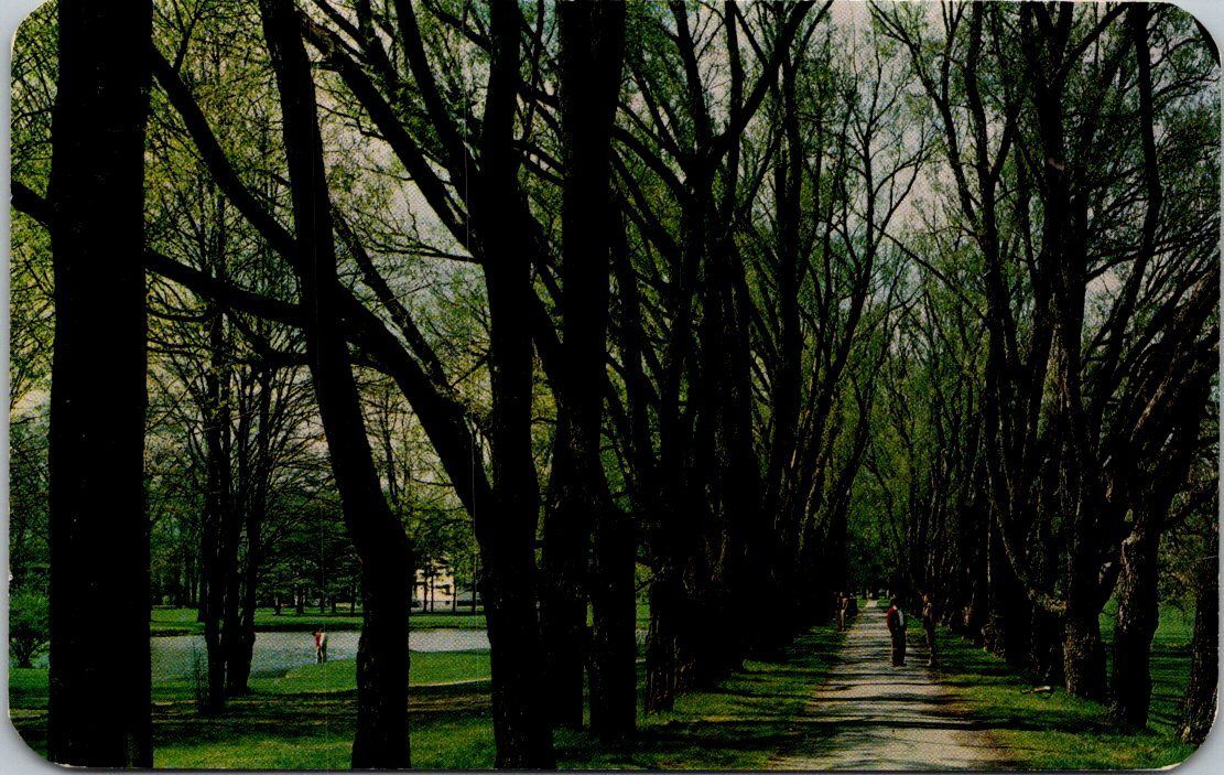 New York Hamilton Colgate University Campus Willow Path and Taylor Lake ...