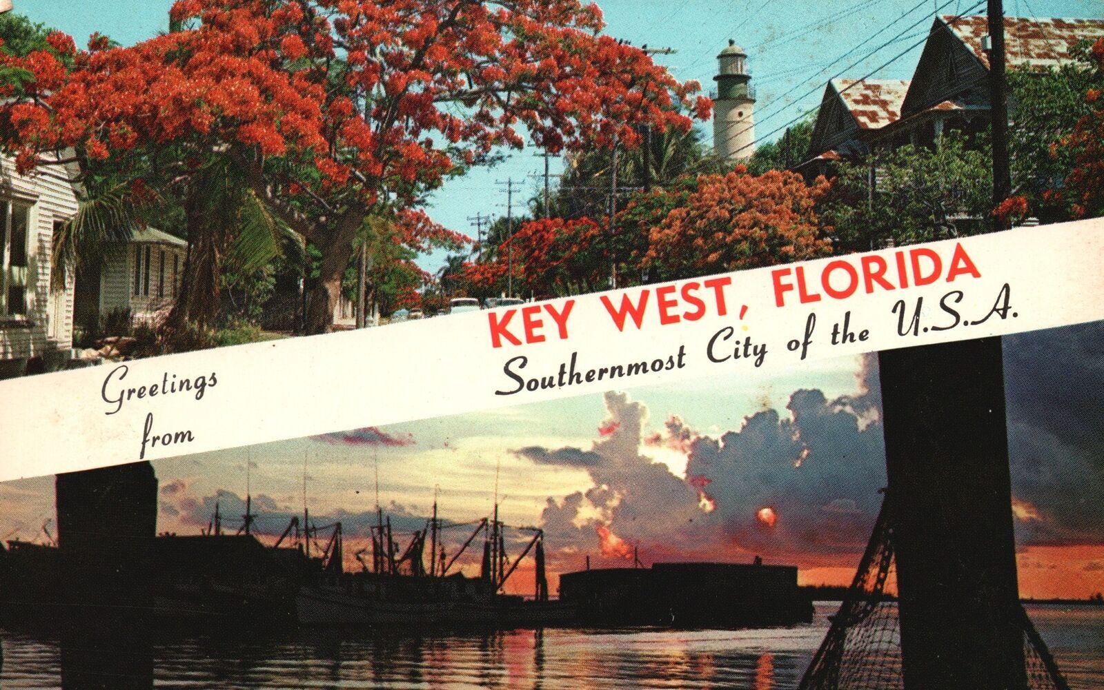 1967 Royal Poinciana Trees & Shrimp Boats Key West Florida FL Greetings ...
