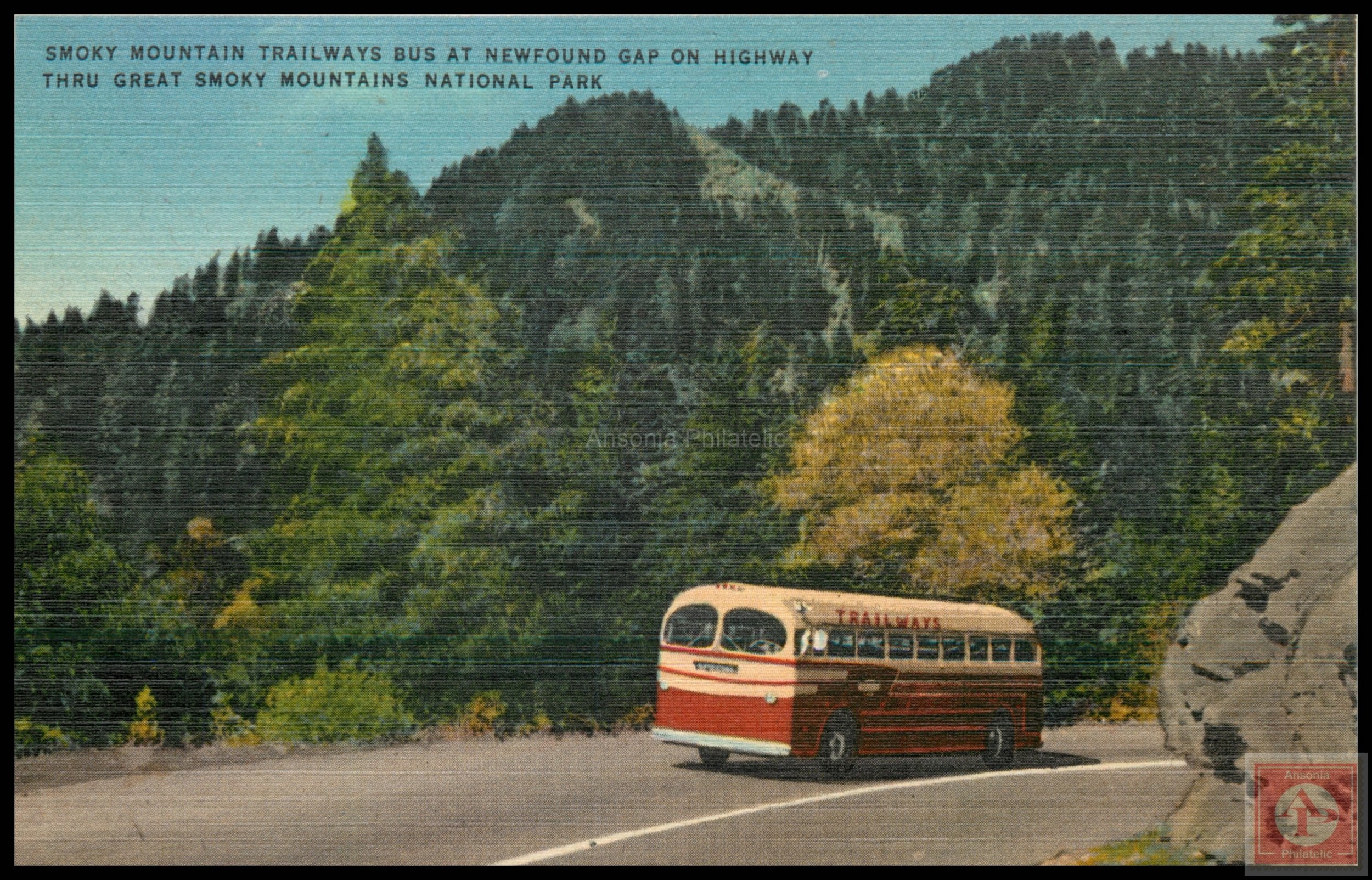 Smoky Mountain Trailways Bus on Hwy Thru Great Smoky Mountains National ...