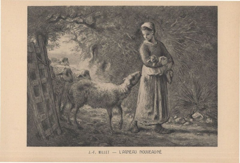 JF Millet L'Agneau Nouveaune Baby Sheep French Painting Postcard ...