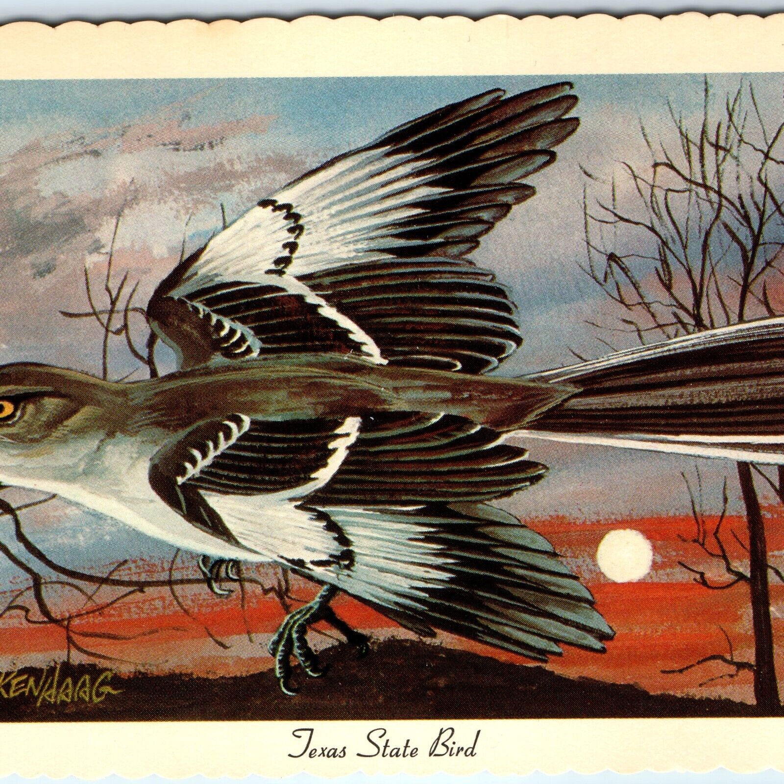 1967 TX Texas State Bird Mockingbird Sunset Spooky Ken Haag Painting ...