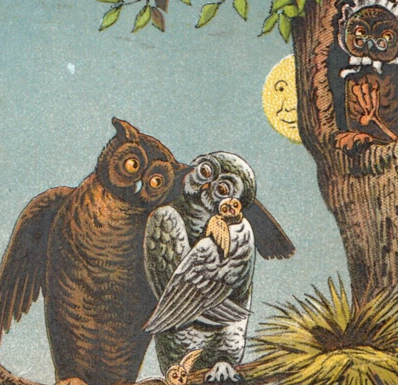 1880s National Harness Co. Anthropomorphic Owl Family Moon & Frogs F143 ...